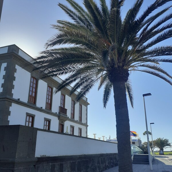 Tulsi Basil Incense Cones - 15 Cone Incense Packet - Calming - Stress ...