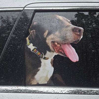 Custom Pet Sticker, Die-cut Dog Decals for Car, Cat Laptop Stickers ...