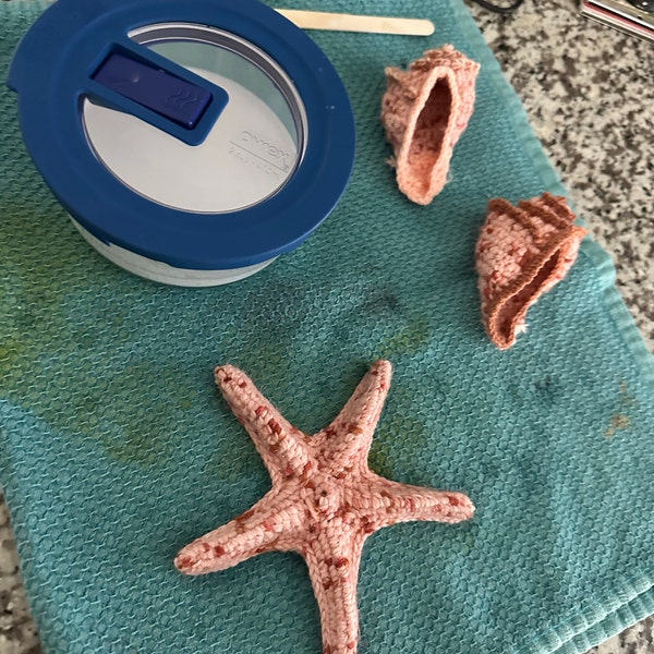 Small Crochet Shell PDF PATTERN - Etsy