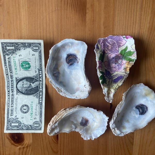 Oyster Shell Decoupage Kits - Etsy