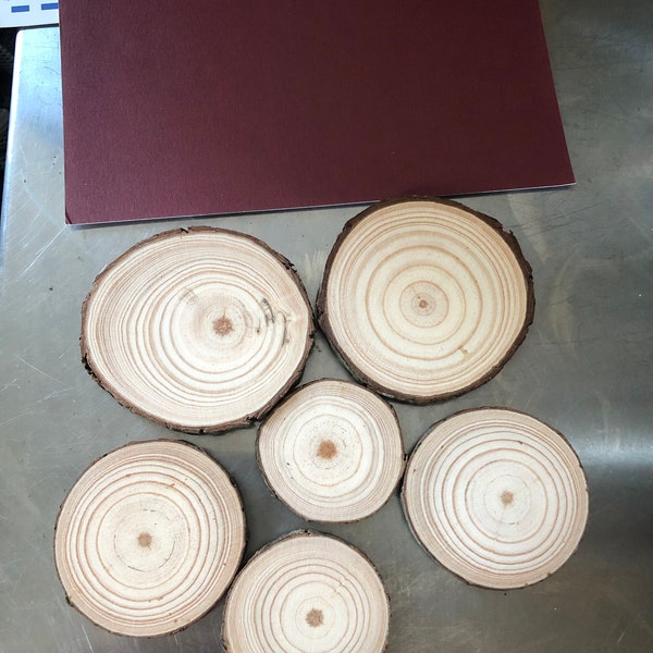 100 Pack 4 - 6 Cm Wood Slices • 2 Inch Wood Slices • Bulk Wood Slices ...