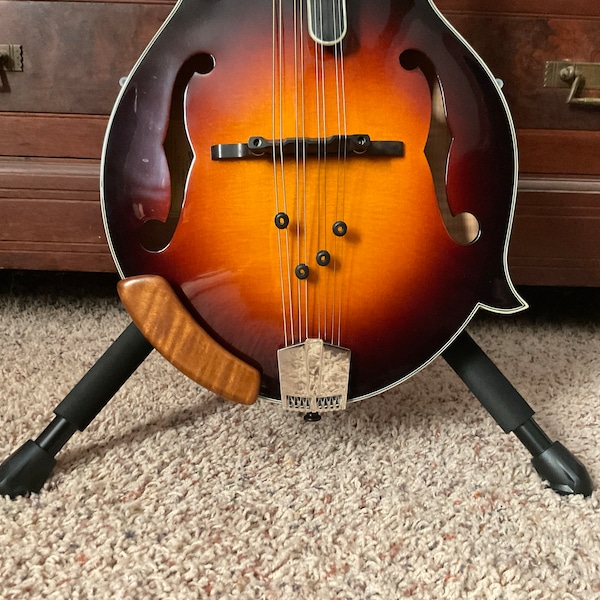 Premium Instrument Case Stand for Guitar, Violin, Mandolin, Banjo ...