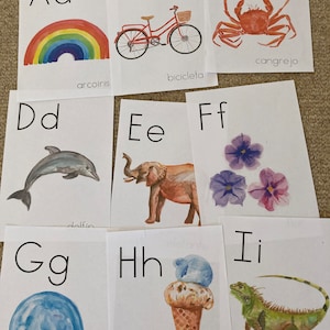 SPANISH Alphabet ABC Flash Cards Cursive, Realistic Watercolor ...