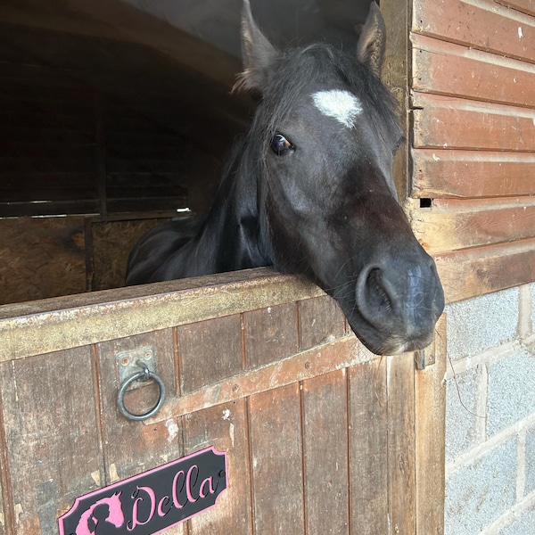 Stable Name Plate / Plaque Cut Out Traditional W/modern Twist Design Stable Door Sign Stall/barn ...
