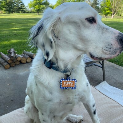 Pet ID Tag-new Large Pet Tag, 2x 1.25bone Tag. Personalized Dog, Pet ID ...