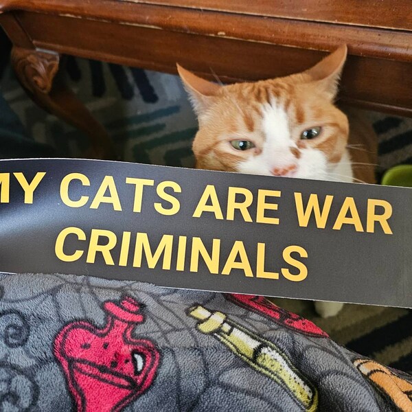 Wizard Bumper Sticker Funny, Cute Car Sticker Decals, Cursed Bumper ...