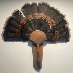 Classic Turkey Fan Mount - Etsy