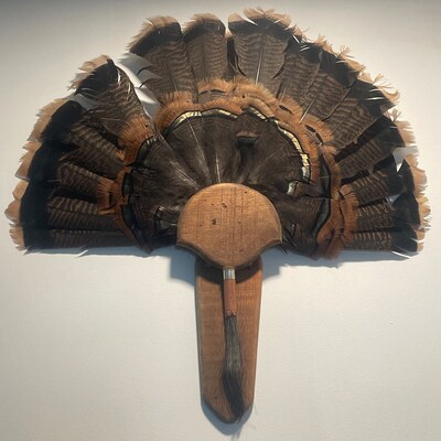 Classic Turkey Fan Mount - Etsy