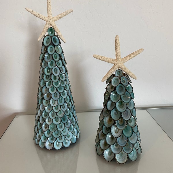 Polished Jade Turbo Shell Large Polished Trochus Polished White Shell ...