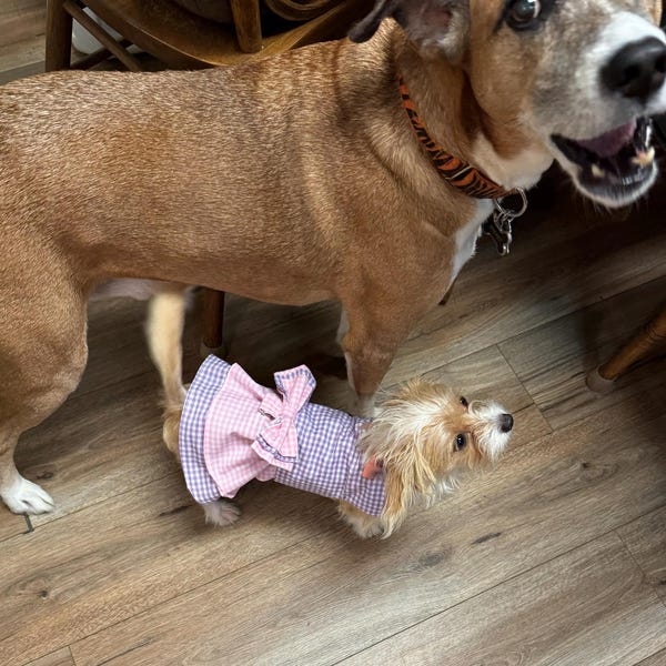 DIY Dog Bandana Sewing Pattern and Tutorial PDF, Dog Bandana With ...