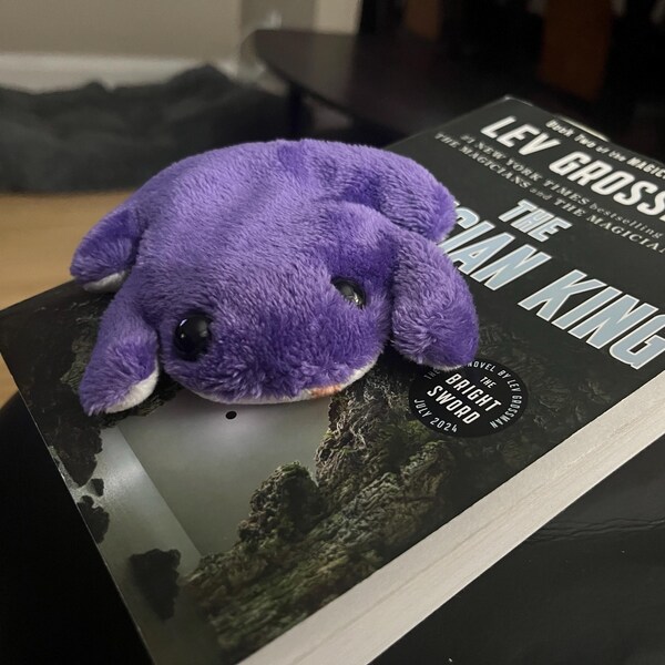 Choose Your Color Combo Frog Plush// Pocket Frog Plushie// Bean Bag ...