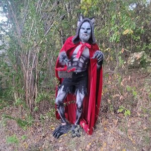 Female Species Bodysuit-alien Lizard Reptile Costume - Etsy