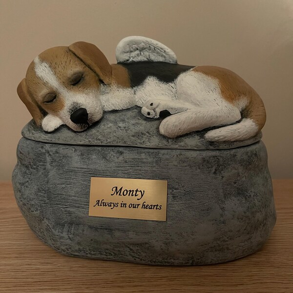 Ceramic Engraved Painted Siamese Cat Cremation Urn With Plastic Name ...