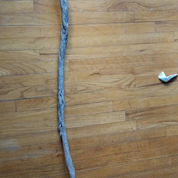 57" Diamond Willow (2~YOU Carve trekking Sticks) Walking Stick ...