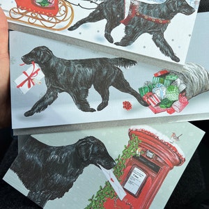 Pointer Brothers German Shorthaired / Wirehaired / English Pointer ...