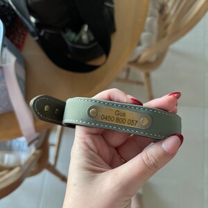 Personalized Engraved Handmade Dog Collar in Blue and Elegant Leaf ...