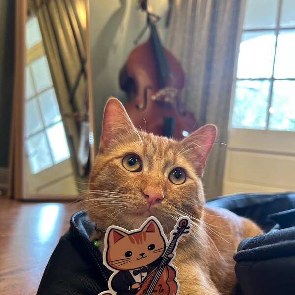 Modern Yellow School Bus Sticker | Ride the Bus Vinyl Sticker | School ...