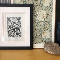 Shell Collection Original Limited Edition Lino Print, Linocut Print ...