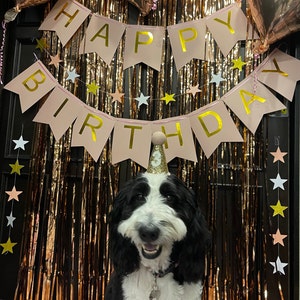 Pet Party Hat Dog Birthday Party Hat Dog Party Hat Dog Birthday Hat Cat ...