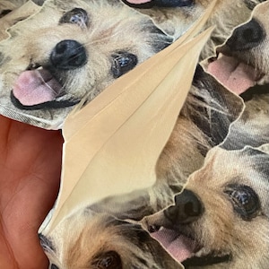 Personalized Character Face Plate/custom Plate for Boys/ Boys - Etsy