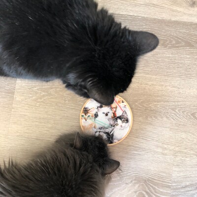 Bless This Hizzy Fo Shizzy, Rap Embroidery, Fo Shizzle, Hip Hop ...