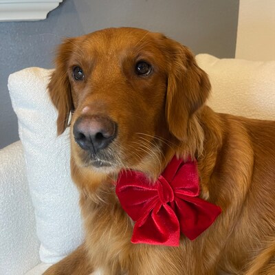 BULLET Navy Blue Textured Fabric Textured Bullet Fabric Liverpool ...