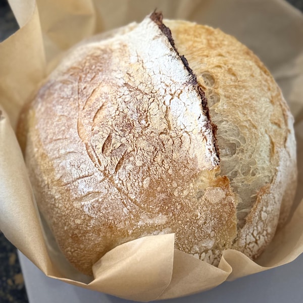 1000+ Year Old Dutch/wales Sourdough Starter Live Ready to Bake or ...