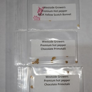 Premium Swamp Rose Mallow Flower Seeds Gorgeous Stunning Grown in USA ...