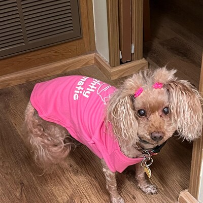 Girl Dog Shirt for Daddys Girl Dog Top for Dog Dad Gift for Dog Dad ...