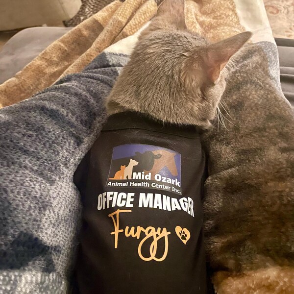 Customizable Pet Shirt: Create a Unique Look for Your Pet Personalized ...