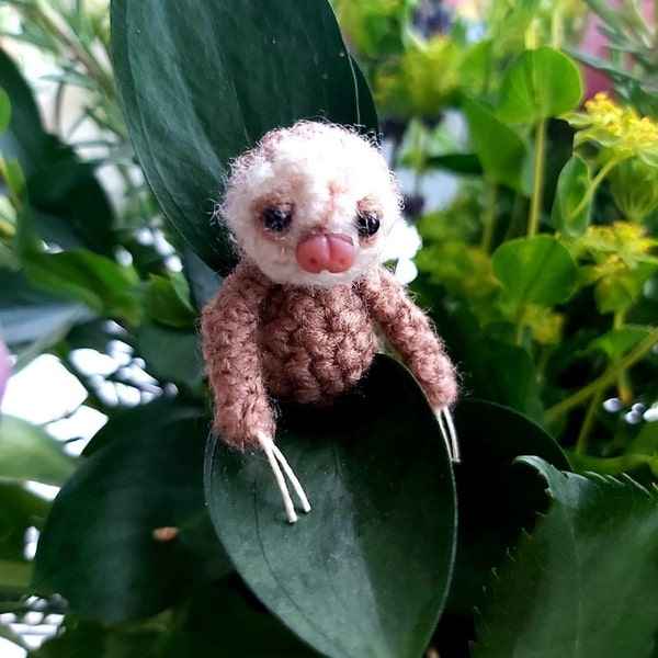 Miniature Sloth, Baby Sloth, Sloth, Sloth Lover, Two Toed Sloth, Sloth ...