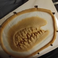 Zombie Jaw/mouth and Cheekbones/eye Sockets Prosthetics, SFX Makeup ...