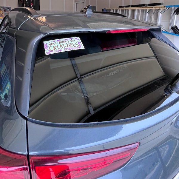 Wooden CREATURE PINS | Any Species | Custom Reptiles Amphibians ...