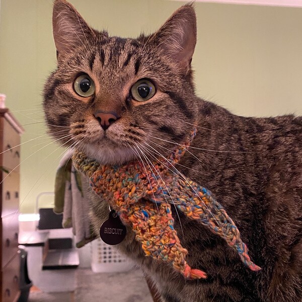 Skinny Scarf Crochet Pattern Ascot - Etsy