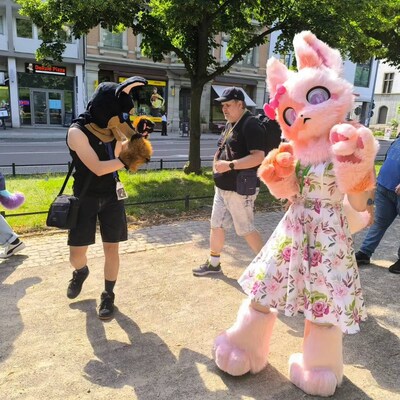 Fursuit Head Head Only,furry Cosplay,fantasy Creatures, Dog Fursuit ...