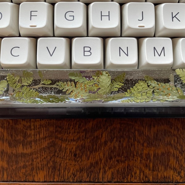 Leaf Typewriter Style RBG Keyboard With Number Pad and Wrist Rest - Etsy