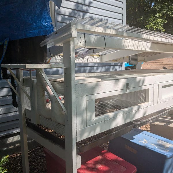 Feedflow Quail Feeder: Low Waste Gravity Feeding Ports - Etsy