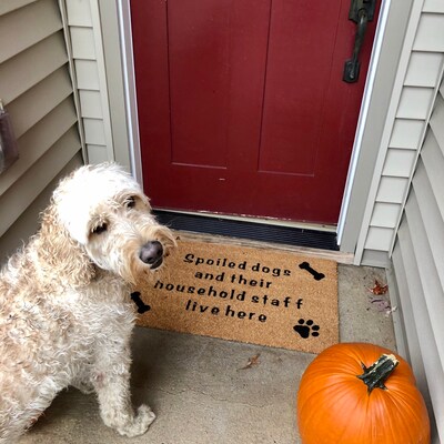 Dog Lover Doormat/ Funny Doormat / Dog Lover / Spoiled Dogs Doormat ...