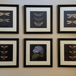 Cow Art French Country Decor Printable Art Watercolor | Etsy