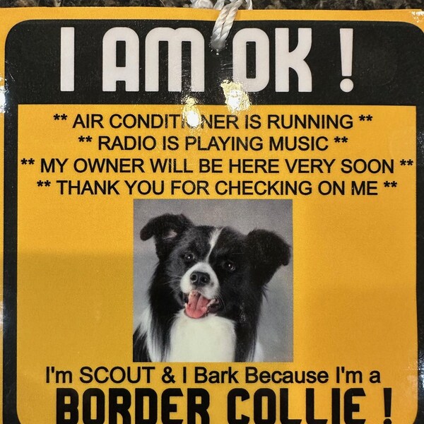 Custom Dog on Board OK Hanging Sign |use Your Pup Photo or Use Ours ...