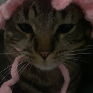 Flower Sun Hat 2 Different Styles Purple and White cat | Etsy