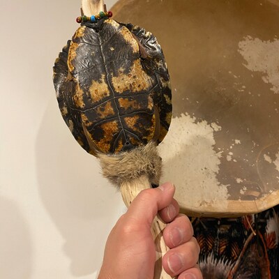 Snapping Turtle Shell Maraca Rhythm Percussion Instrument - Etsy