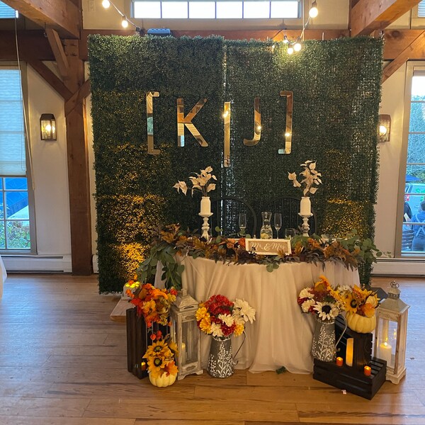 Neon Back Drops Neon Sign, Wedding Back Drop, Photography Signs ...