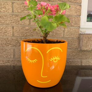 Face Decal for Flower Pot Vinyl Decal Flower Pot Sticker Gardening ...