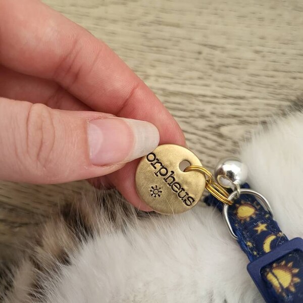 Cat Tag, Cat ID Tag, Small Pet Tag, Cat Name Tag, Microchipped Tag ...