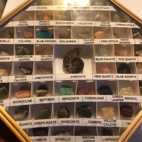 Gemstone Collection Box Vintage Mineral Specimen Sample Gift for Rock ...