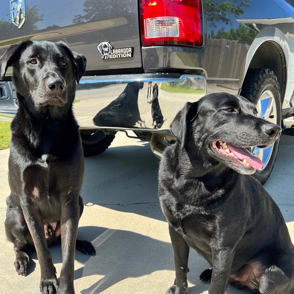 Labrador Retriever Car Badge - Etsy