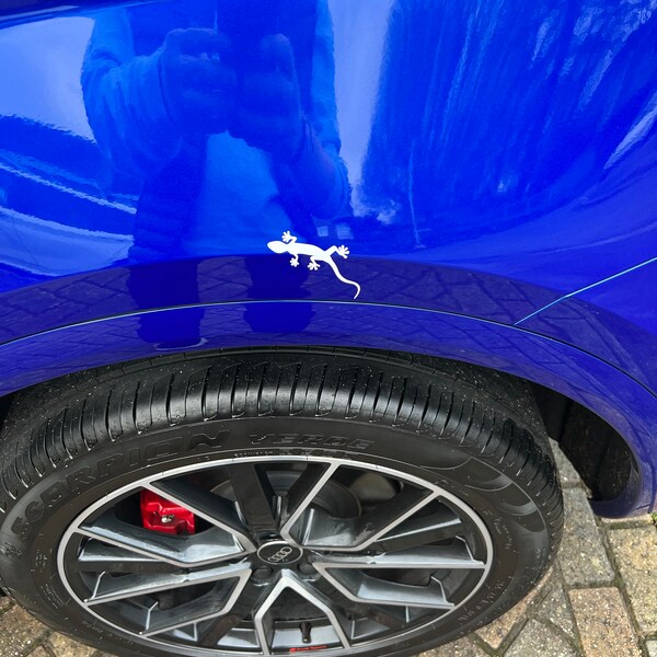 SKODA VRS WINDOW Vinyl Sticker Car Decal 60cm X1 - Etsy