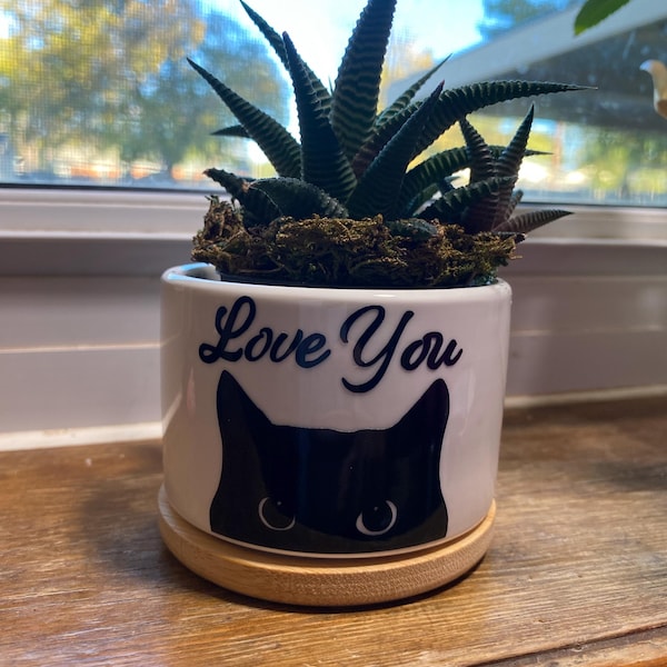 Serial Plant Killer Succulent Planter Pot, Funny Plant Pot, GAG Gift ...
