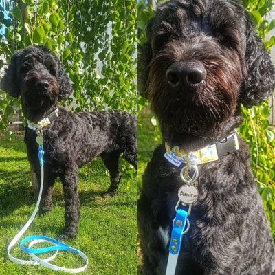 Vibrant Poop Bag Holder, Dog Waste Bag Holder, Boho Dog Pouch, Waste ...